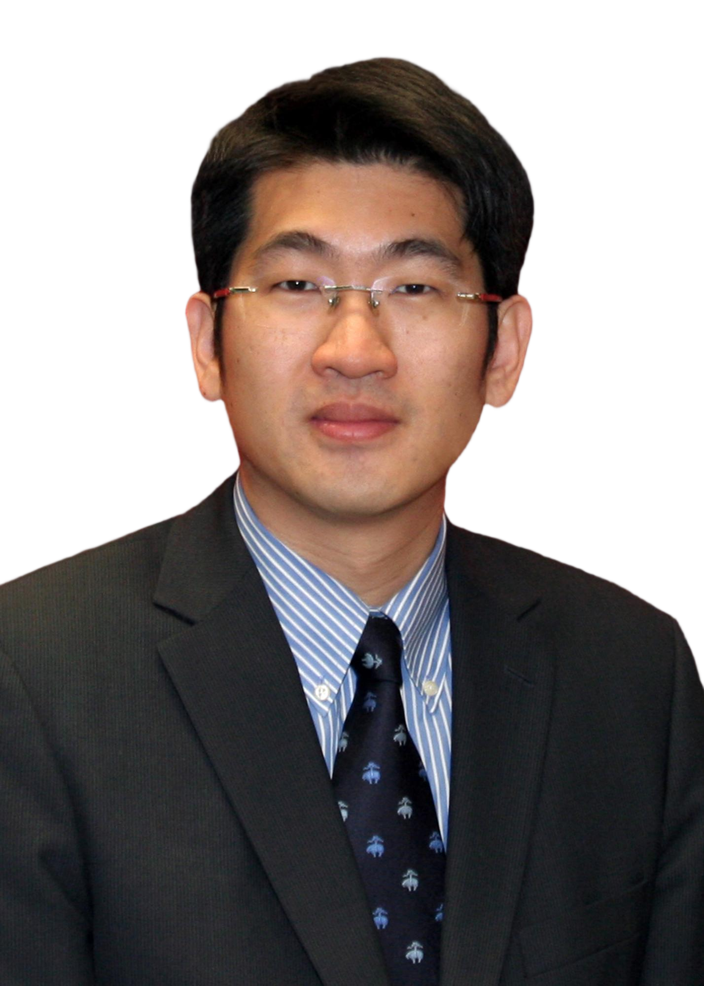 IEEE NEMS 2026